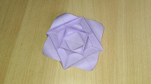 Eine Origami-Rose falten: Eine Anleitung | FOCUS.de